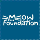 Meow Foundation For The Adoption Of Abandoned Cats | Canadian charity ...